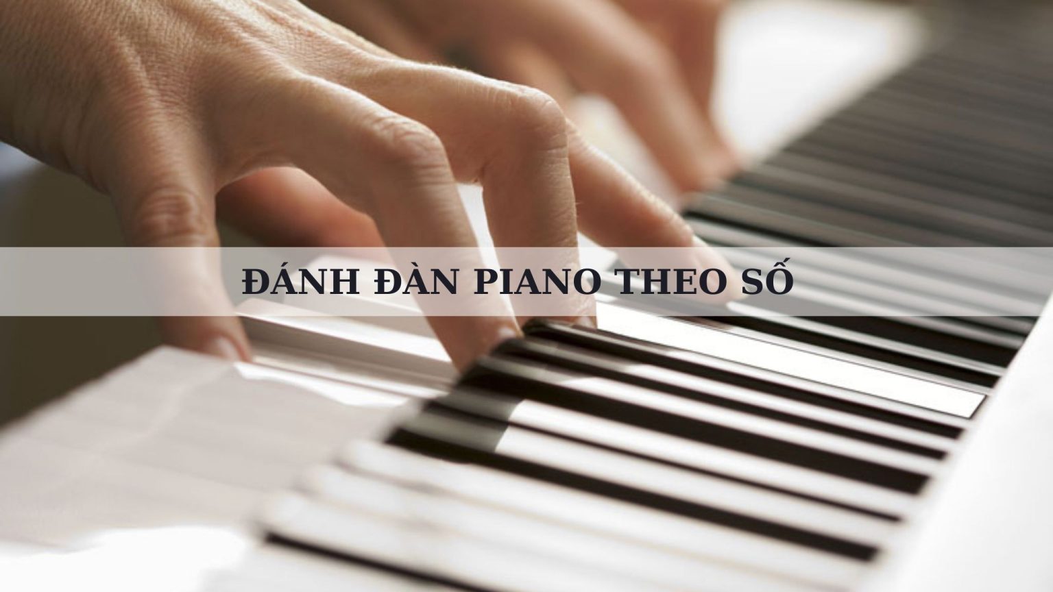 5 bước đánh đàn piano theo số đơn giản và hiệu quả nhất - TED SAIGON