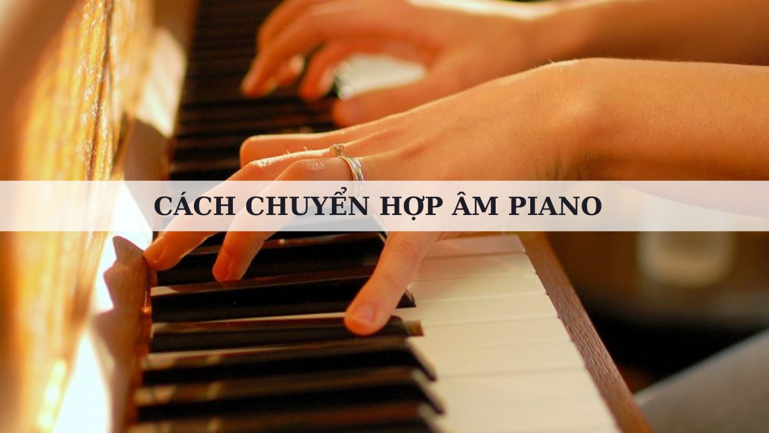 Hướng dẫn cách chuyển hợp âm piano nhanh và đơn giản nhất - TED SAIGON