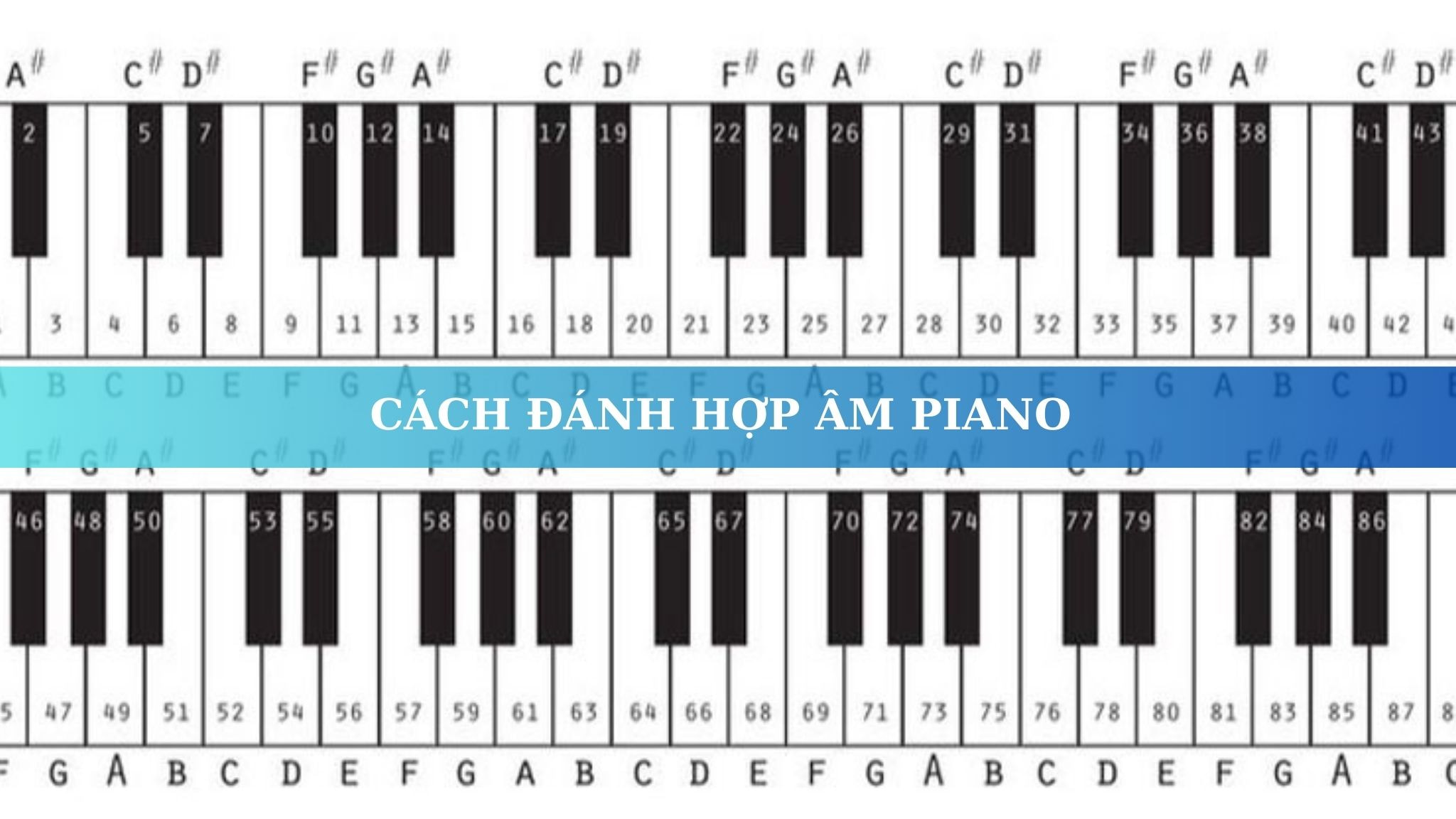 Hướng dẫn cách đánh hợp âm piano cơ bản cho người mới học - TED SAIGON