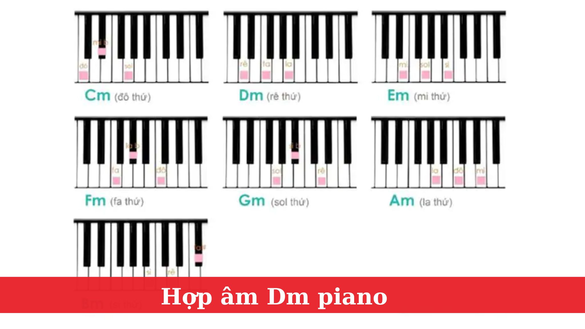 Hợp âm Dm piano là gì? Quy tắc cấu thành hợp âm thứ Dm - TED SAIGON