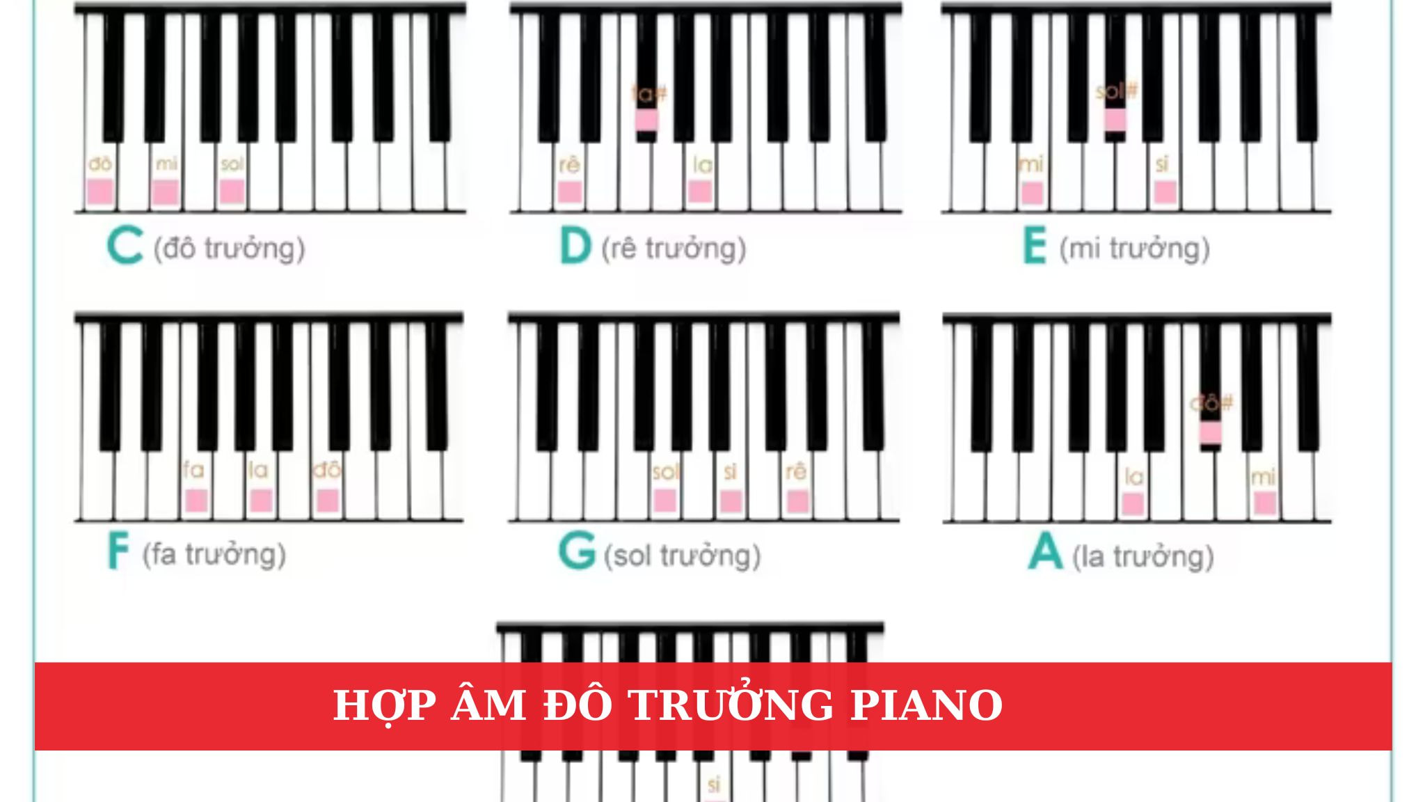 Cách lên dây đàn piano với 7 bước được hướng dẫn chi tiết - TED SAIGON