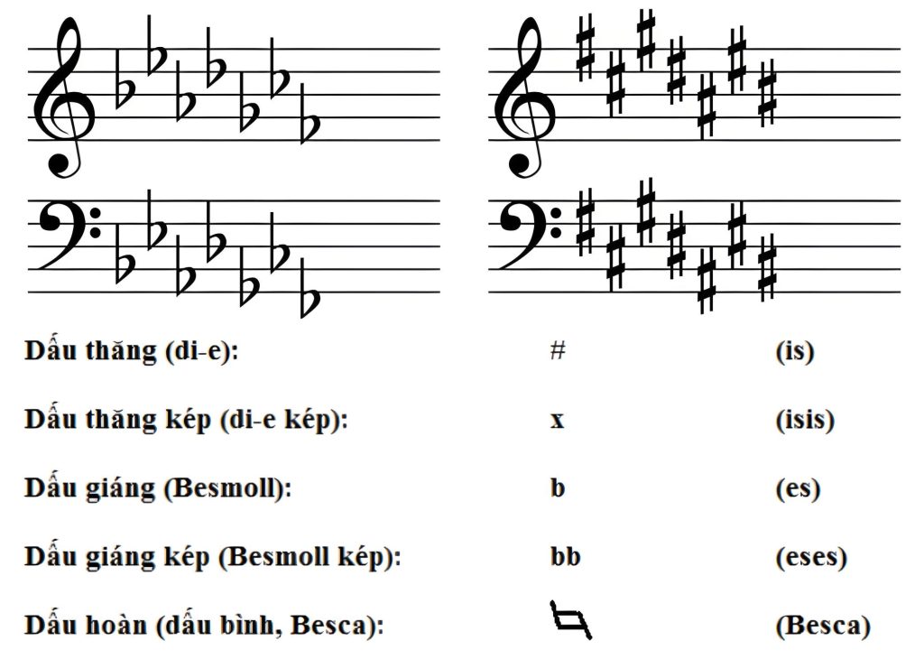 5 Kiến Thức Cơ Bản Nhất Của Nhạc Lý Piano Cần Phải Nắm Chắt - TED SAIGON